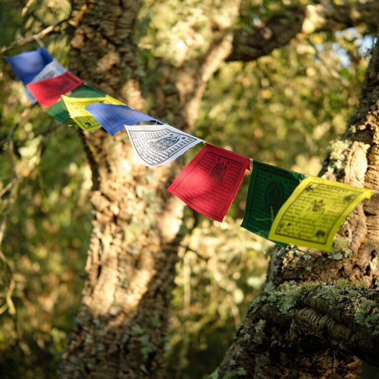 Prayer Flag - Mixed - S - Mooji Sangha Shop